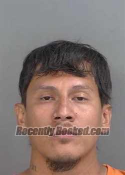 Recent Booking / Mugshot for LUIS ENRIQUE AMBRIZ in Collier County, Florida