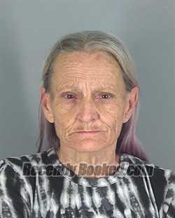 Recent Booking / Mugshot for ROBIN CASH DAMICO in Spartanburg County ...
