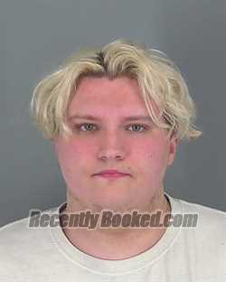 Recent Booking / Mugshot for LANDON MICHALE SHEPARD in Spartanburg ...