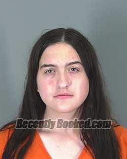 Recent Booking / Mugshot for AMANDA LYNN PLOETZ in Spartanburg County ...
