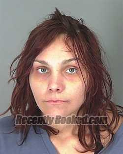 Recent Booking / Mugshot for DANA KAY FLEMING in Spartanburg County ...
