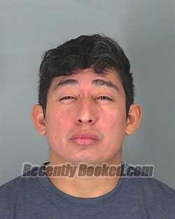 Recent Booking / Mugshot for BERSON CAMPOS in Spartanburg County, South ...