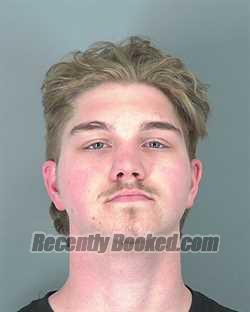 Recent Booking / Mugshot for LUKE NELSON CLARK in Spartanburg County ...