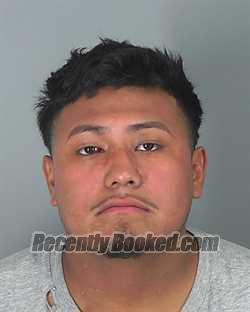 Recent Booking / Mugshot for ANGEL NAVA in Spartanburg County, South ...