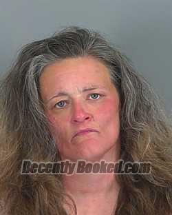 HEATHER DELLINGER Arrest Record & Booking Info – Spartanburg County ...
