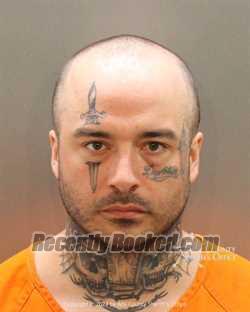 Recent Booking / Mugshot for Tanner Ray Fenton in Ada County, Idaho