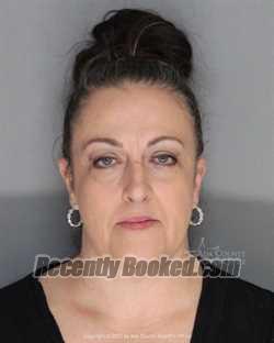 Recent Booking / Mugshot for Robin Ann Lewis in Ada County, Idaho