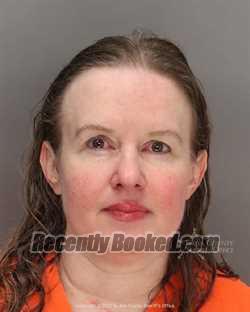 Recent Booking / Mugshot for Heidi Ann Goulet in Ada County, Idaho