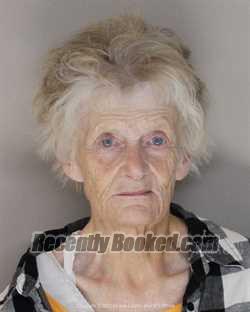 Shauna Christopherson Arrest Record & Booking Info – Ada County, Idaho ...