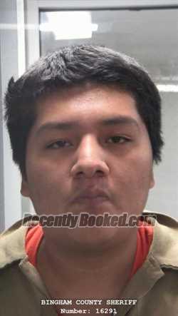 Recent Booking / Mugshot for SHANE PONZO in Bingham County, Idaho
