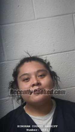 Recent Booking / Mugshot for NATASHA SADIE WATSON in Bingham County, Idaho