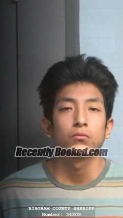 Recent Booking / Mugshot for ALIZE BRANDON DAMON in Bingham County, Idaho