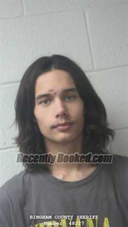 Recent Booking / Mugshot for DOMINIC LOGAN MCGUIRE in Bingham County, Idaho