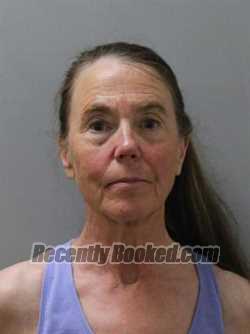 Recent Booking / Mugshot for LISA CHANEY in Blaine County, Idaho