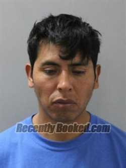 Recent Booking / Mugshot for ANDI MALLQUI CAMAC in Blaine County, Idaho