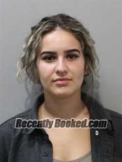 Recent Booking / Mugshot for ANJA SCHWEIGER in Blaine County, Idaho