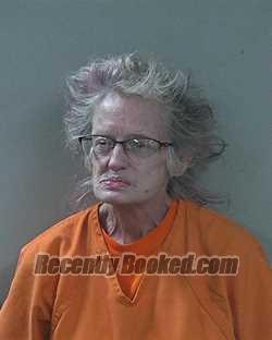 Recent Booking / Mugshot for MICHELLE GRAMLICH MORTENSEN in Canyon ...