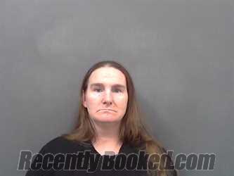 Recent Booking / Mugshot for ROXANNE CAROL BROWNLEE in Cassia County, Idaho
