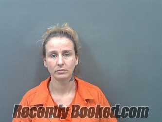 Recent Booking / Mugshot for ERICA LYNN CRAIN in Cassia County, Idaho