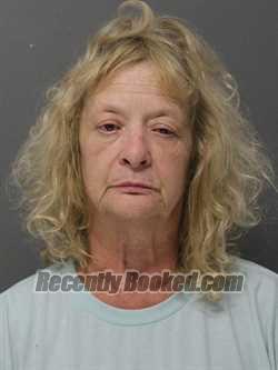 Recent Booking / Mugshot for CISSY SUE SUPAK in Clearwater County, Idaho