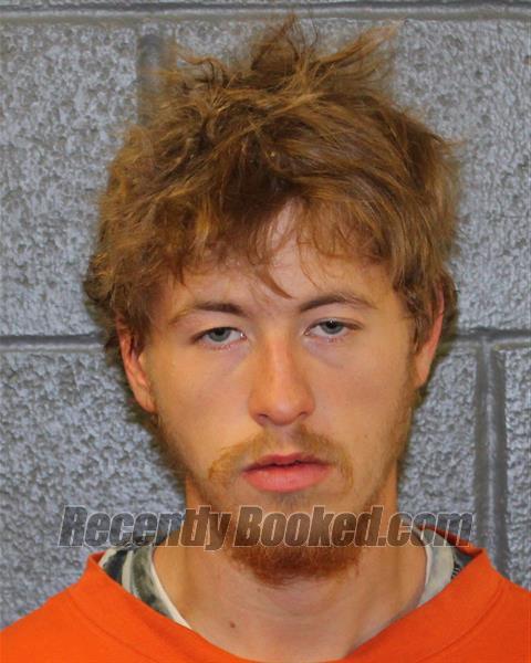 Recent Booking / Mugshot for TYLER BRANDON BERG in Elmore County, Idaho