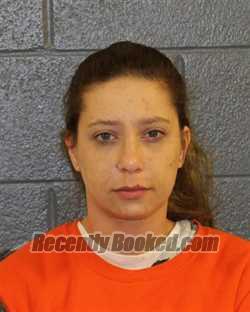 Recent Booking / Mugshot for MEGAN MICHELE ESTES in Elmore County, Idaho