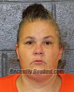 Recent Booking / Mugshot for ALICIA DAWN DOBSON in Elmore County, Idaho