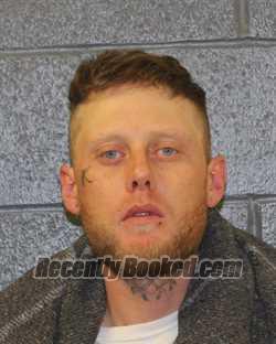 Recent Booking / Mugshot for TYLER JORDAN HENDRICKS in Elmore County, Idaho