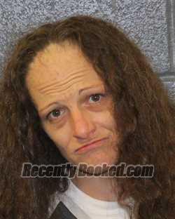 Recent Booking / Mugshot for JAMIE LEANN BRIDWELL in Elmore County, Idaho