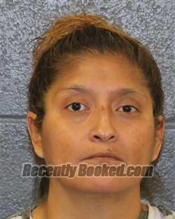 Recent Booking / Mugshot for MARIA GUADALUPE ARELLANES in Elmore County ...