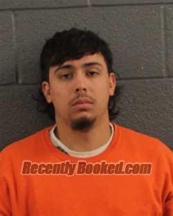 Recent Booking / Mugshot for TREVOR DALE LANDIS in Elmore County, Idaho