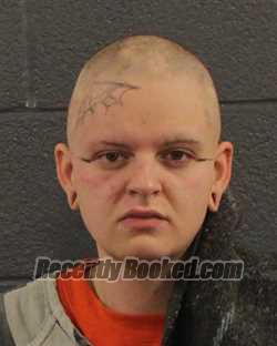 Recent Booking / Mugshot for JAMIE ALEXA MANN in Elmore County, Idaho