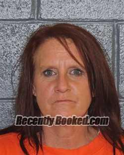 Recent Booking / Mugshot for BRANDI LEE LUDOVIC in Elmore County, Idaho