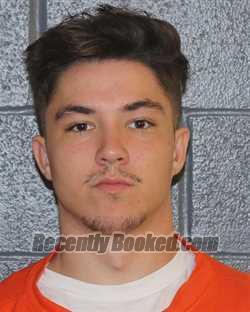 Recent Booking / Mugshot for MAX FEGAN in Elmore County, Idaho