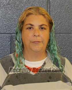 Recent Booking / Mugshot for MELISSA COLLEEN JONES in Elmore County, Idaho