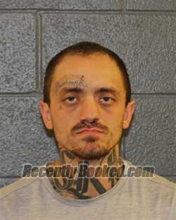Recent Booking / Mugshot for JORDAN LEE WHEELER in Elmore County, Idaho