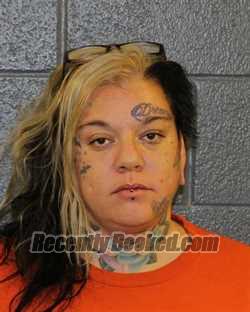 Recent Booking / Mugshot for BRIANNA ROSE GILLEN in Elmore County, Idaho