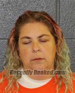 Recent Booking / Mugshot for MELISSA COLLEEN JONES in Elmore County, Idaho