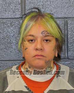 Recent Booking / Mugshot for BRIANNA ROSE GILLEN in Elmore County, Idaho