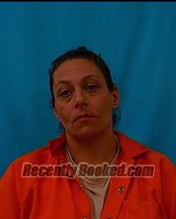 Recent Booking / Mugshot for DANIELLE LEE WOLFF in Jerome County, Idaho