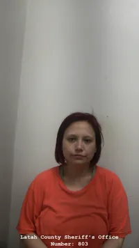 Recent Booking / Mugshot for Alison David Harless in Latah County, Idaho