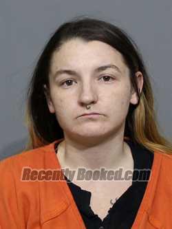 Recent Booking / Mugshot for Haven Nicole Coppock in York County, South ...