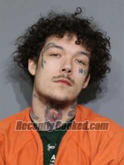 Recent Booking / Mugshot for Cody Ryan Williams in York County, South ...