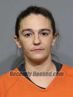 Recent Booking / Mugshot for Stephanie Toler Gosnell in York County ...