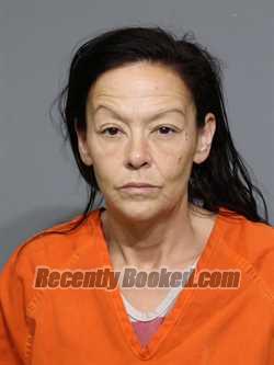 Recent Booking / Mugshot for Kelly Anne Skeen in York County, South ...