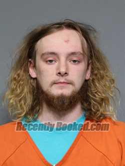 Recent Booking / Mugshot for Tyler Austin Brown in York County, South ...
