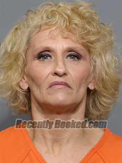 Recent Booking / Mugshot for Kelly Kristen Carver in York County, South ...