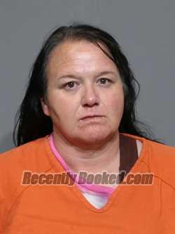 Crystal Hall Metheny Arrest Record & Booking Info – York County, South ...