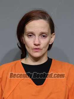 Recent Booking / Mugshot for Martha Breanna Rice in York County, South ...