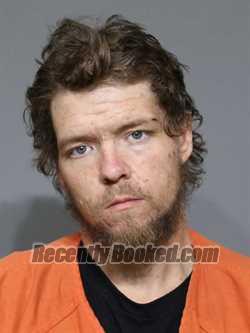 Recent Booking / Mugshot for Caleb Bland Williams in York County, South ...